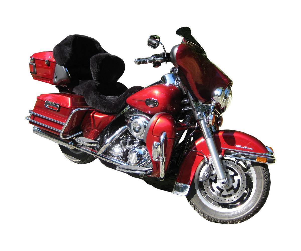 Sheepskin Motorcycle Driver and/or Passenger Backrest Cover Only – US ...